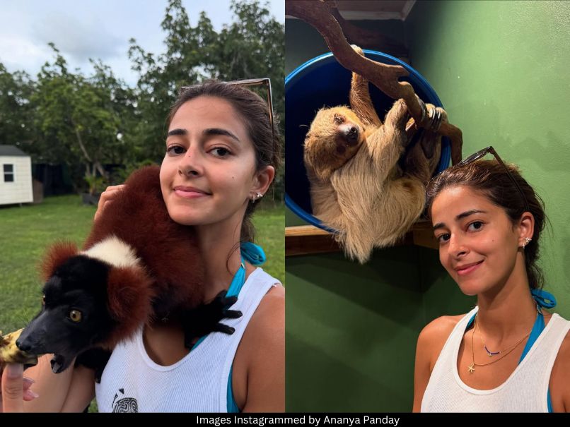 Ananya Panday Lives Every Animal Lover’s Dream On Her Miami Getaway ...