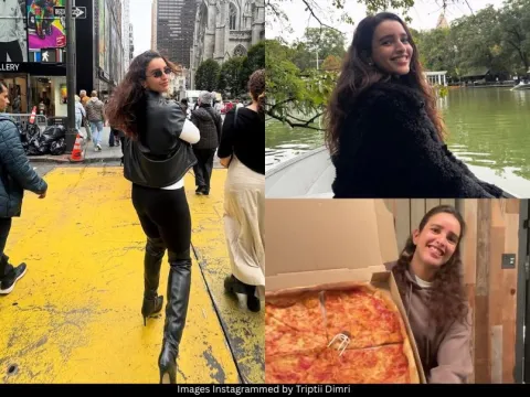 Triptii Dimri Turns Tourist In New York And Every Picture Is Pure ...